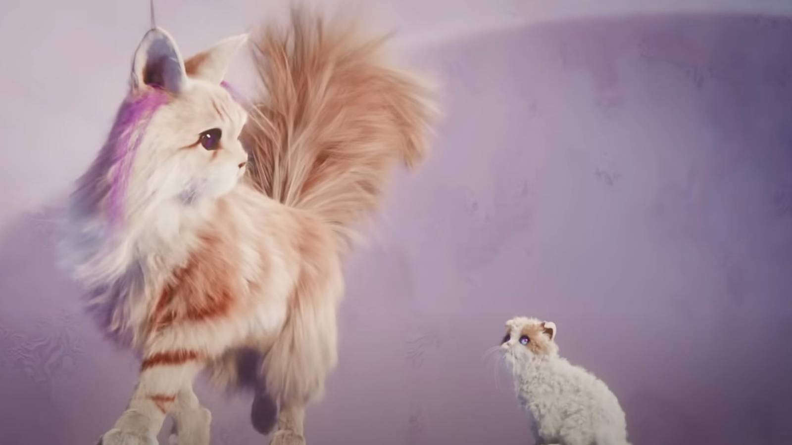 Catly Developer Addresses AI, Blockchain, And NFT Accusations