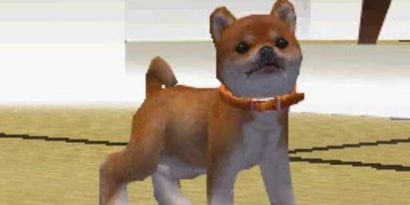 The Best Nintendo DS Exclusive Games