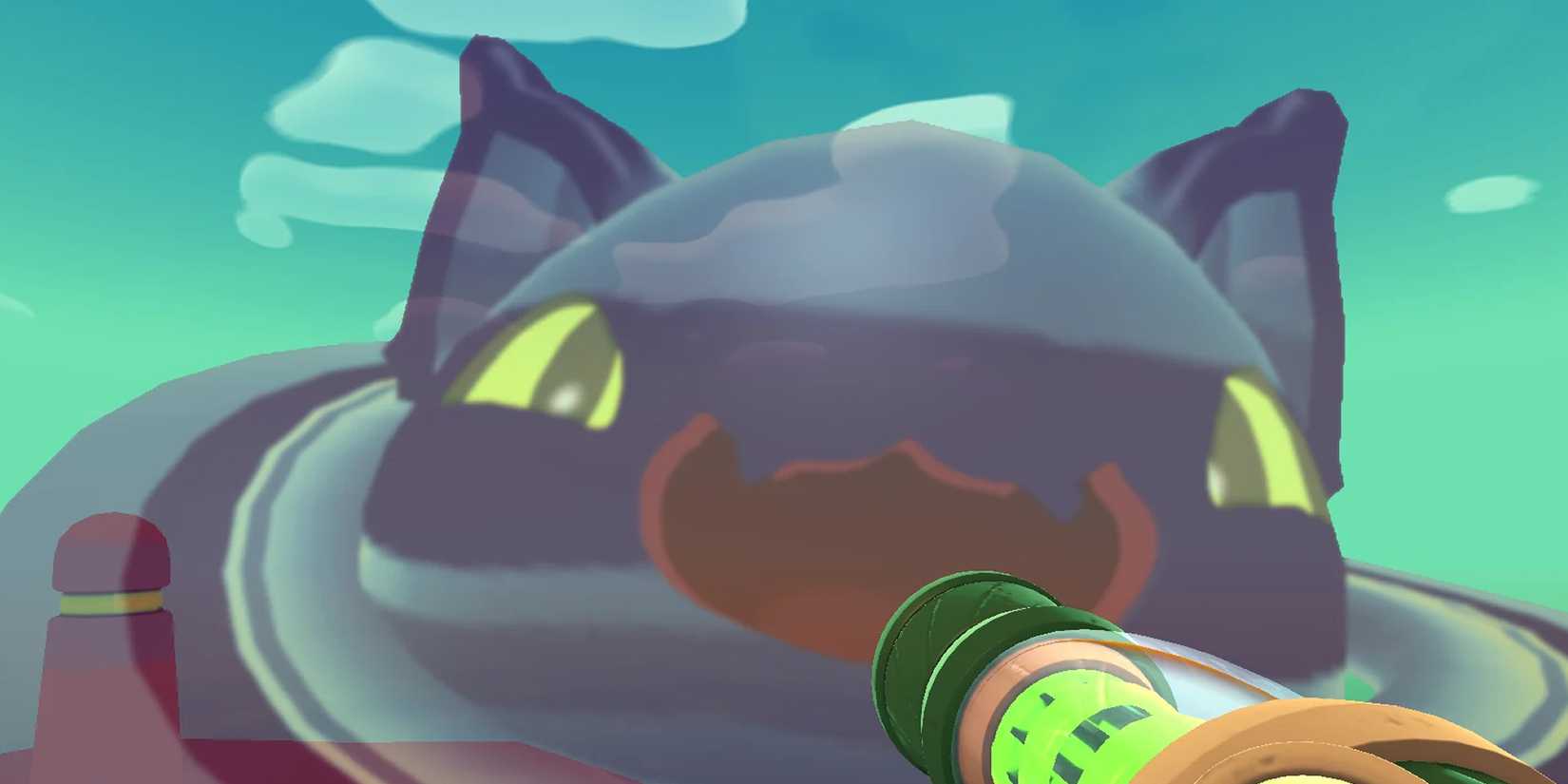 Best Largo Slime Combinations In Slime Rancher