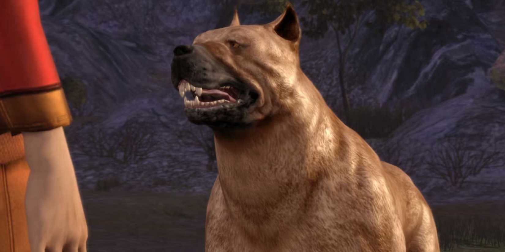 Dragon Age: Origins' Dog Companion Is Referenced In Veilguard's Codex