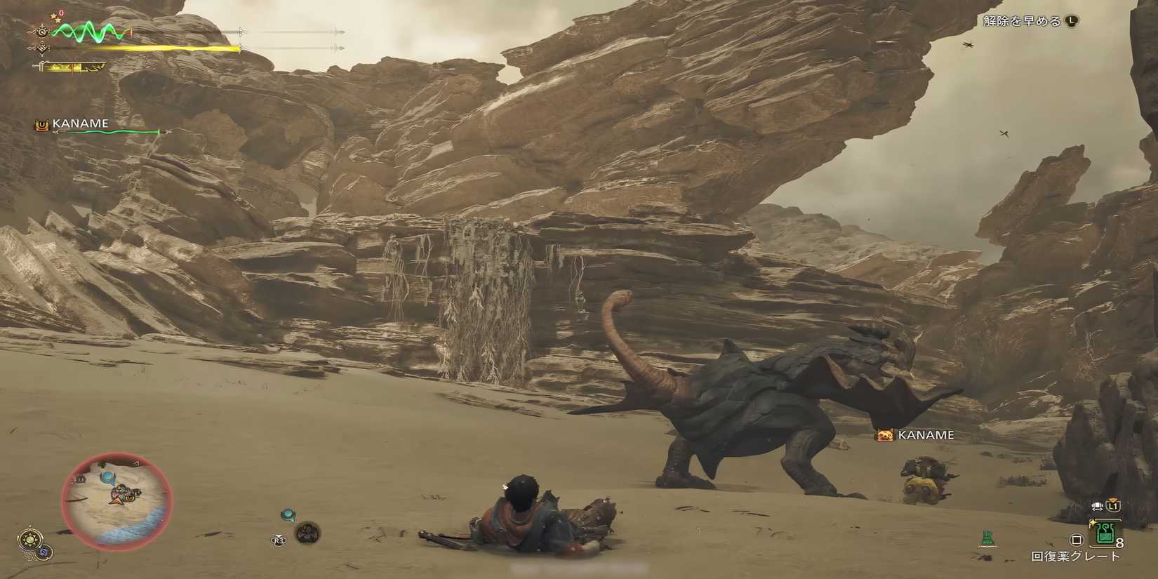 How To Beat Gypceros In Monster Hunter Wilds