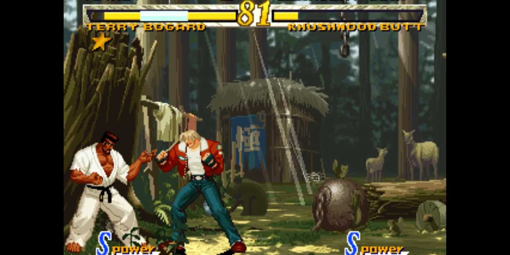 Terry Bogard's Best Appearances In Games
