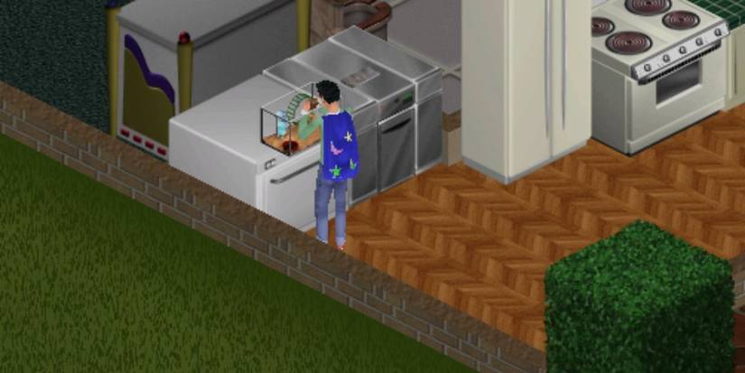 Most Iconic Items From The Sims 1 You Forgot