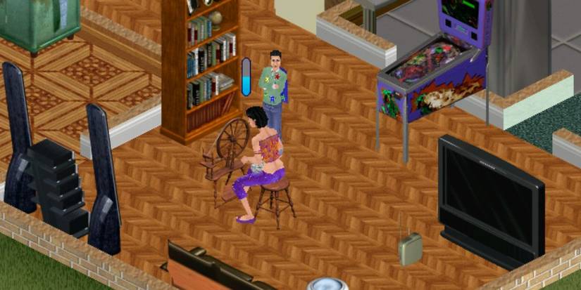 Most Iconic Items From The Sims 1 You Forgot