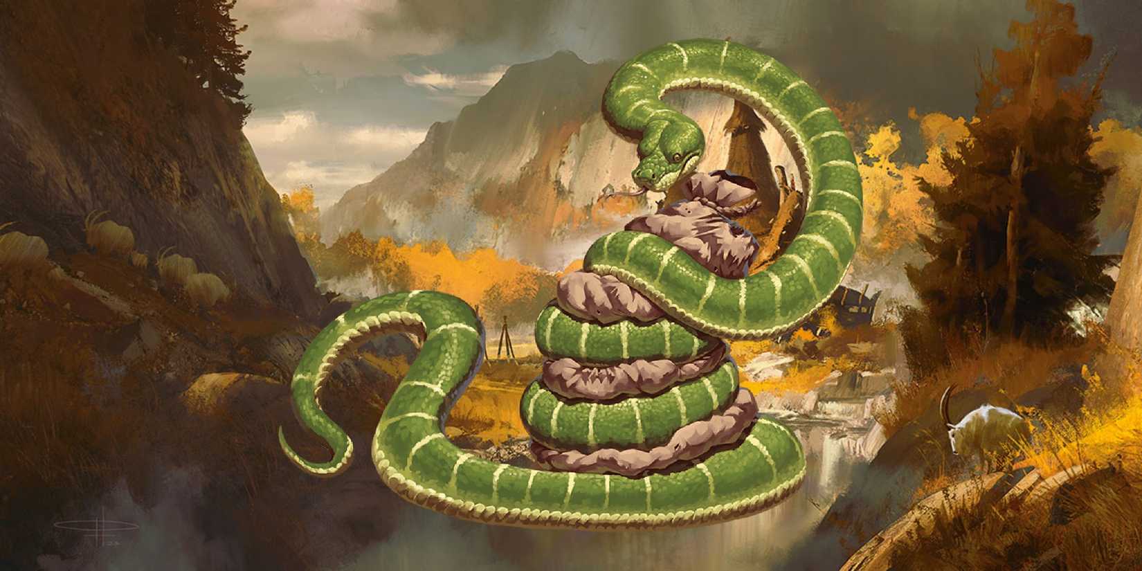 The Best Wild Shape Animals From The DnD 2025 Monster Manual
