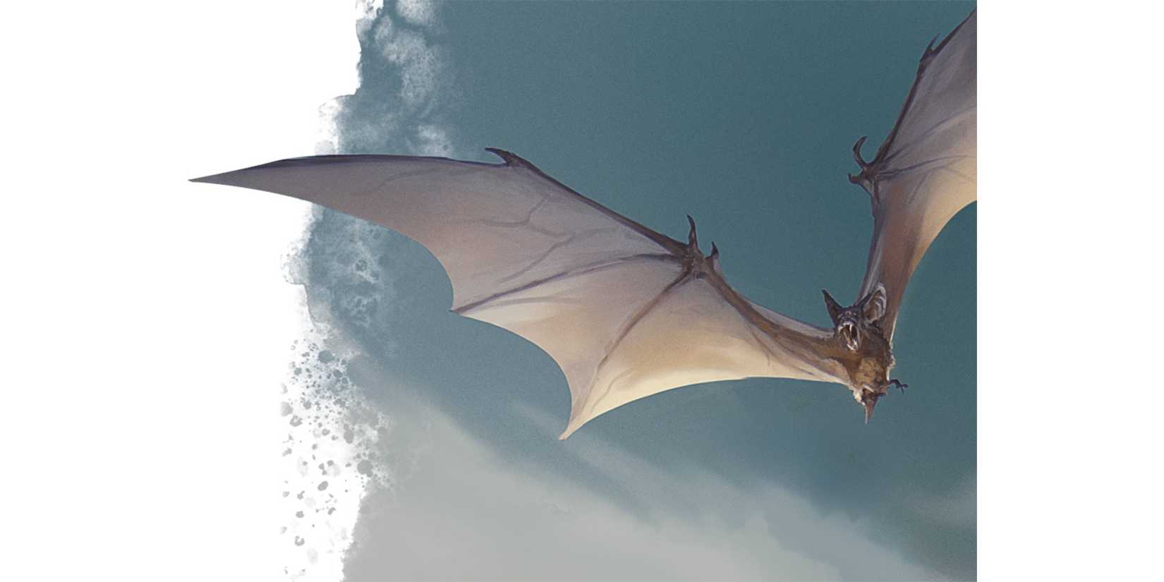 Best Mounts In The D&D 2025 Monster Manual