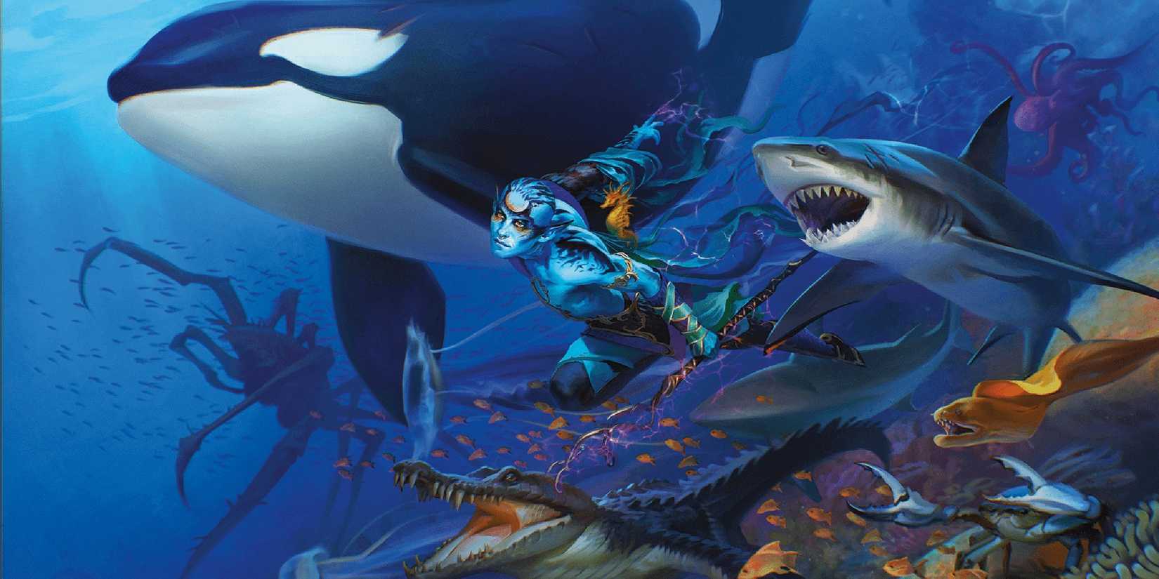 What Are Animal Lords In DND