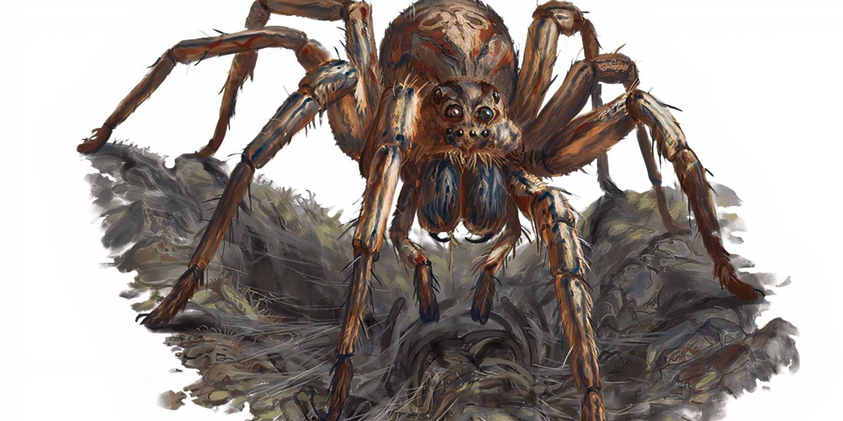 How To Roleplay And Use Lolth In Your DnD Campaign