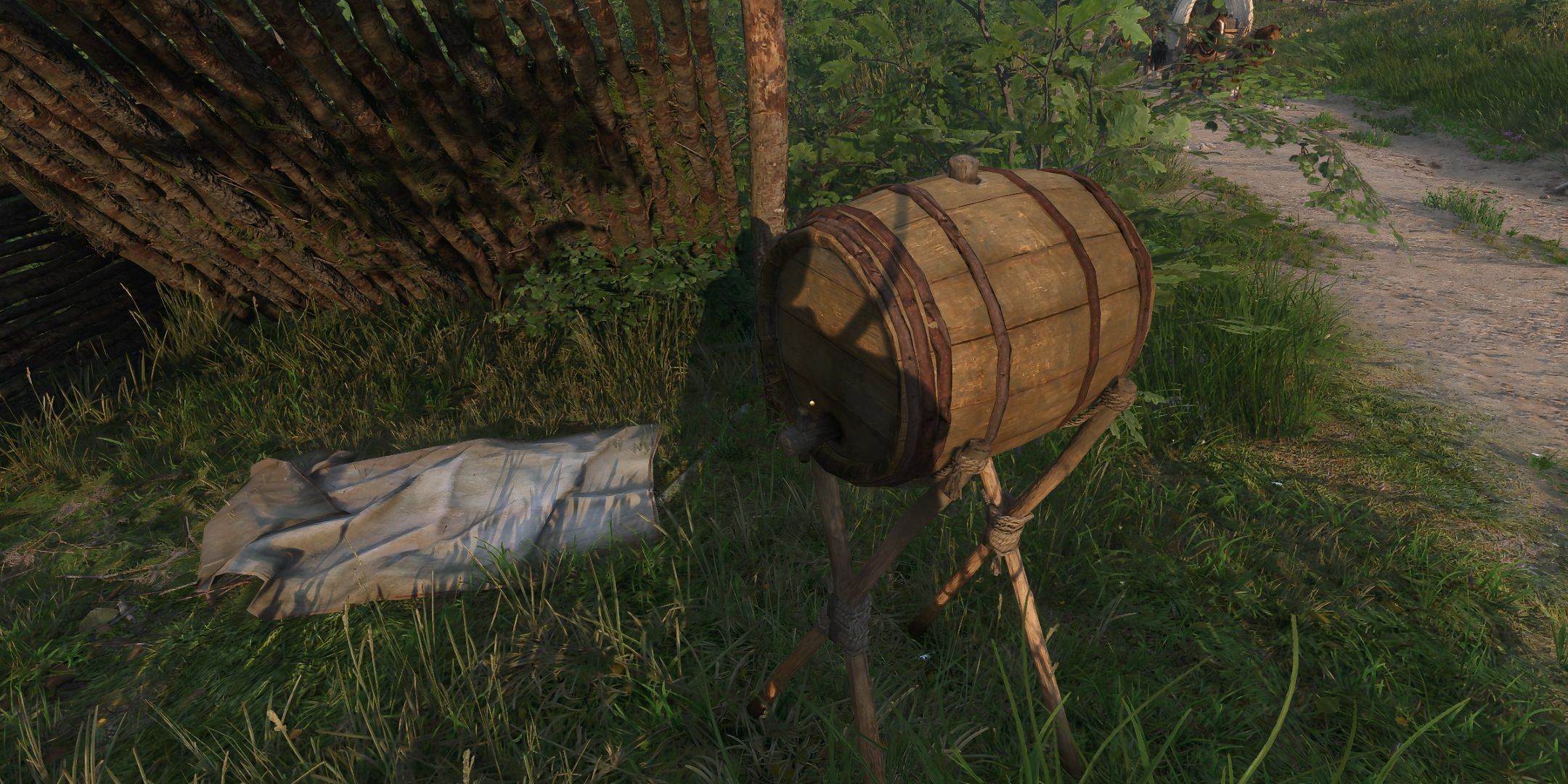 How To Get Quickfinger Potions In KCD 2