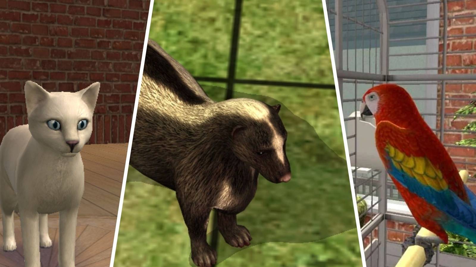 The Best Pet Types In The Sims 2