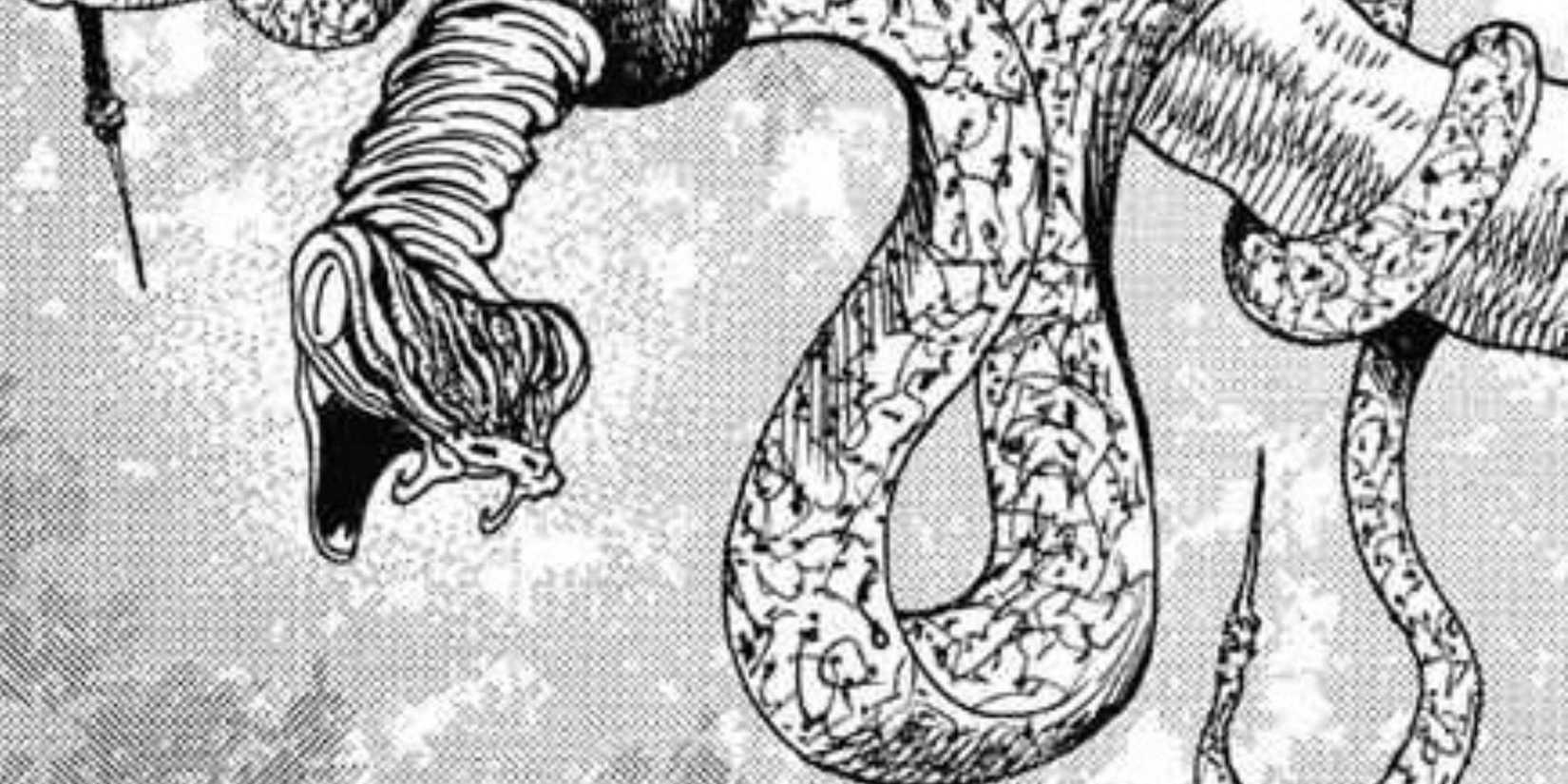 What Are The Dark Continent Calamities In HXH?