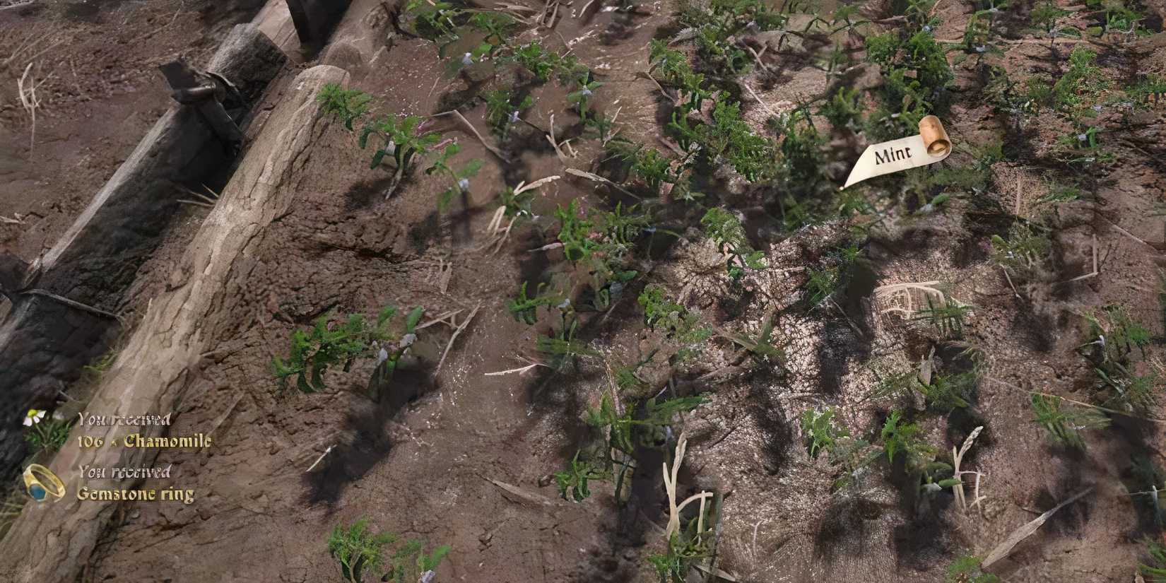 Best Survival Perks In KCD2