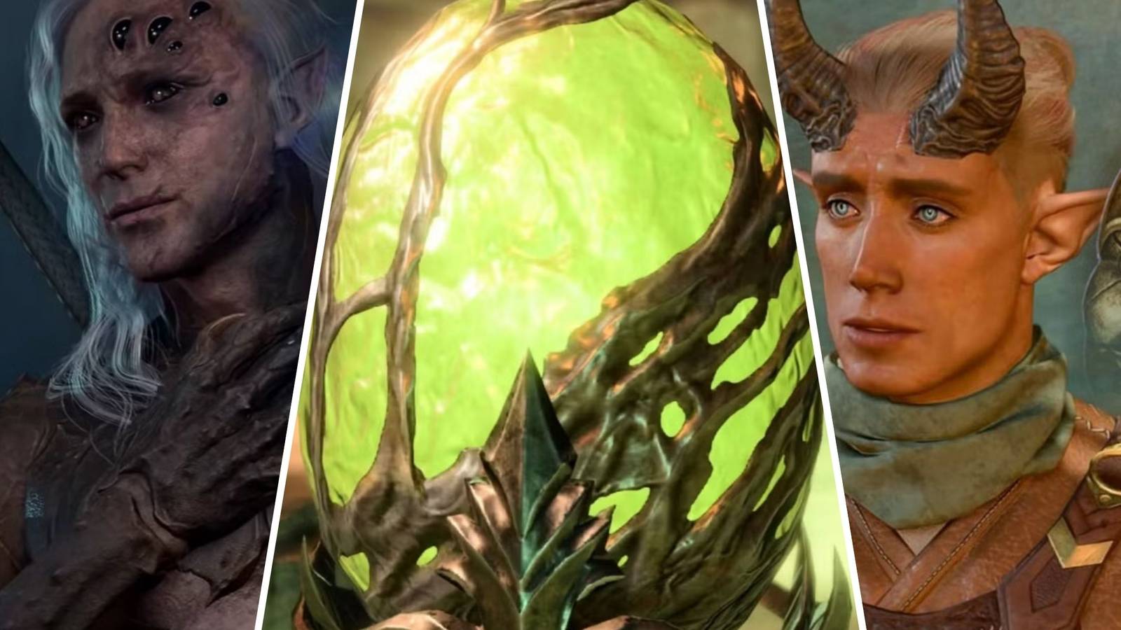 What To Do With The Owlbear Egg In Baldur's Gate 3