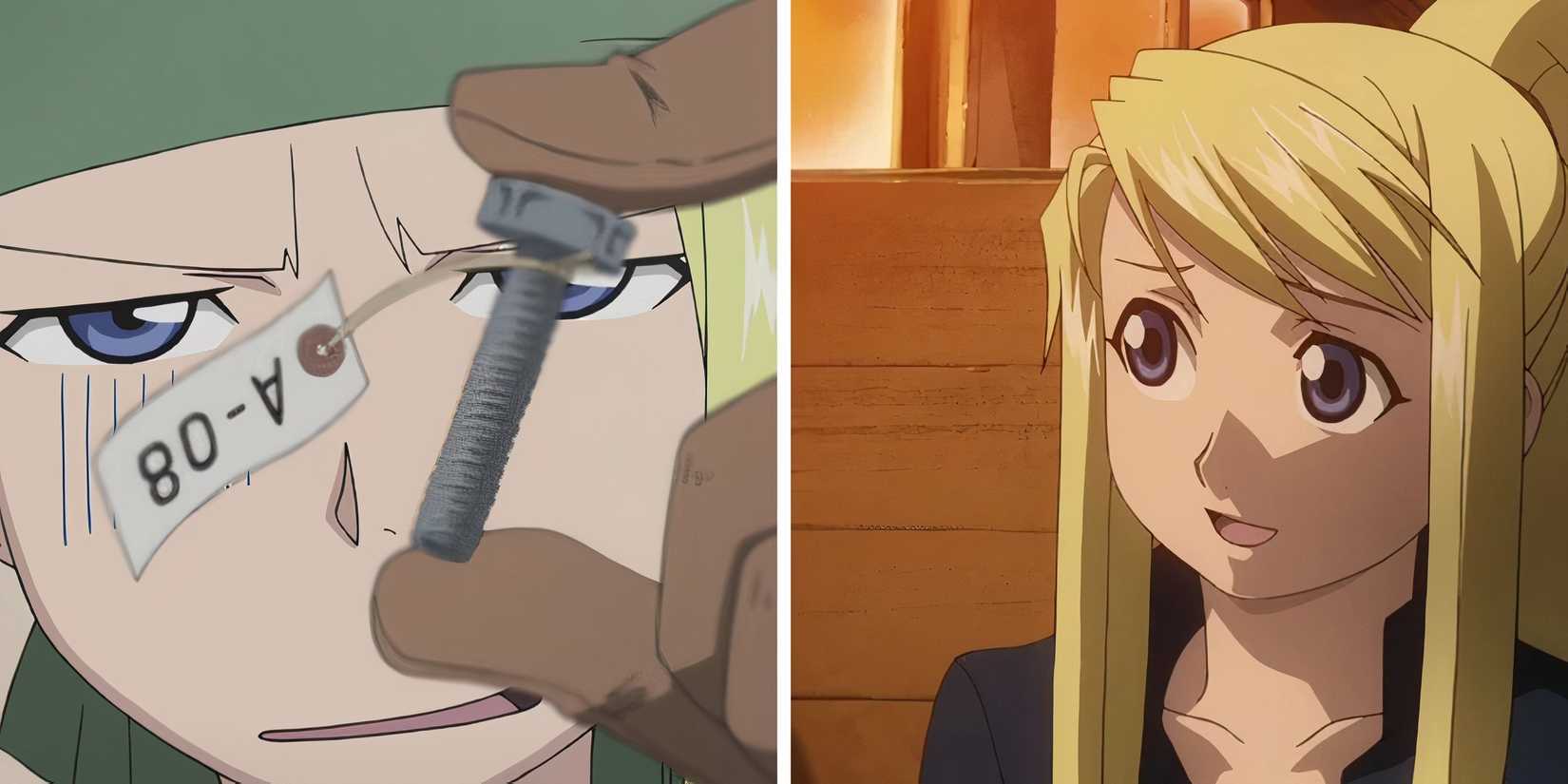 The Voice Actors Behind The Main Cast Of Fullmetal Alchemist Brotherhood