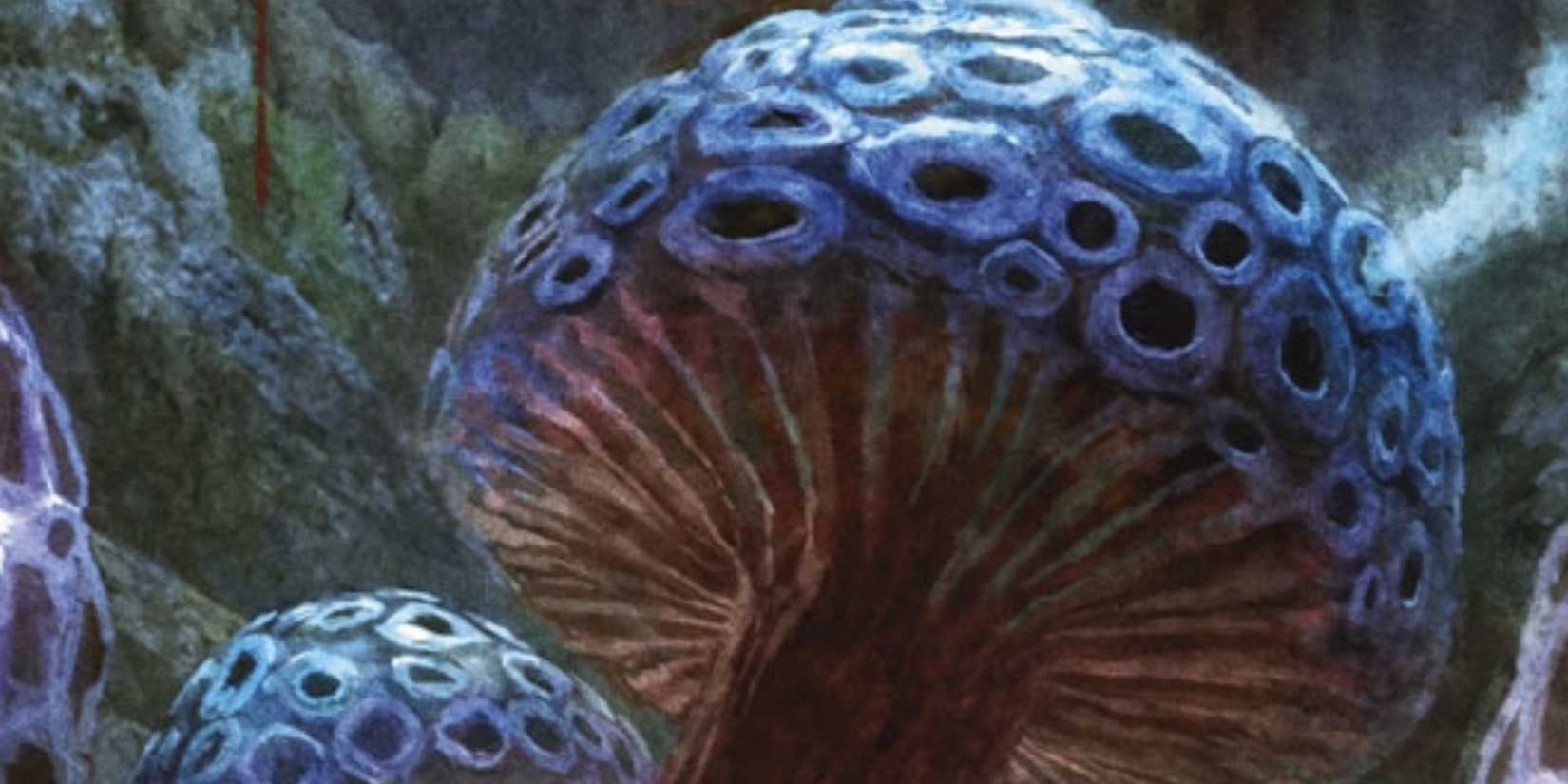 Every Mushroom Monster In DnD, Ranked By Power