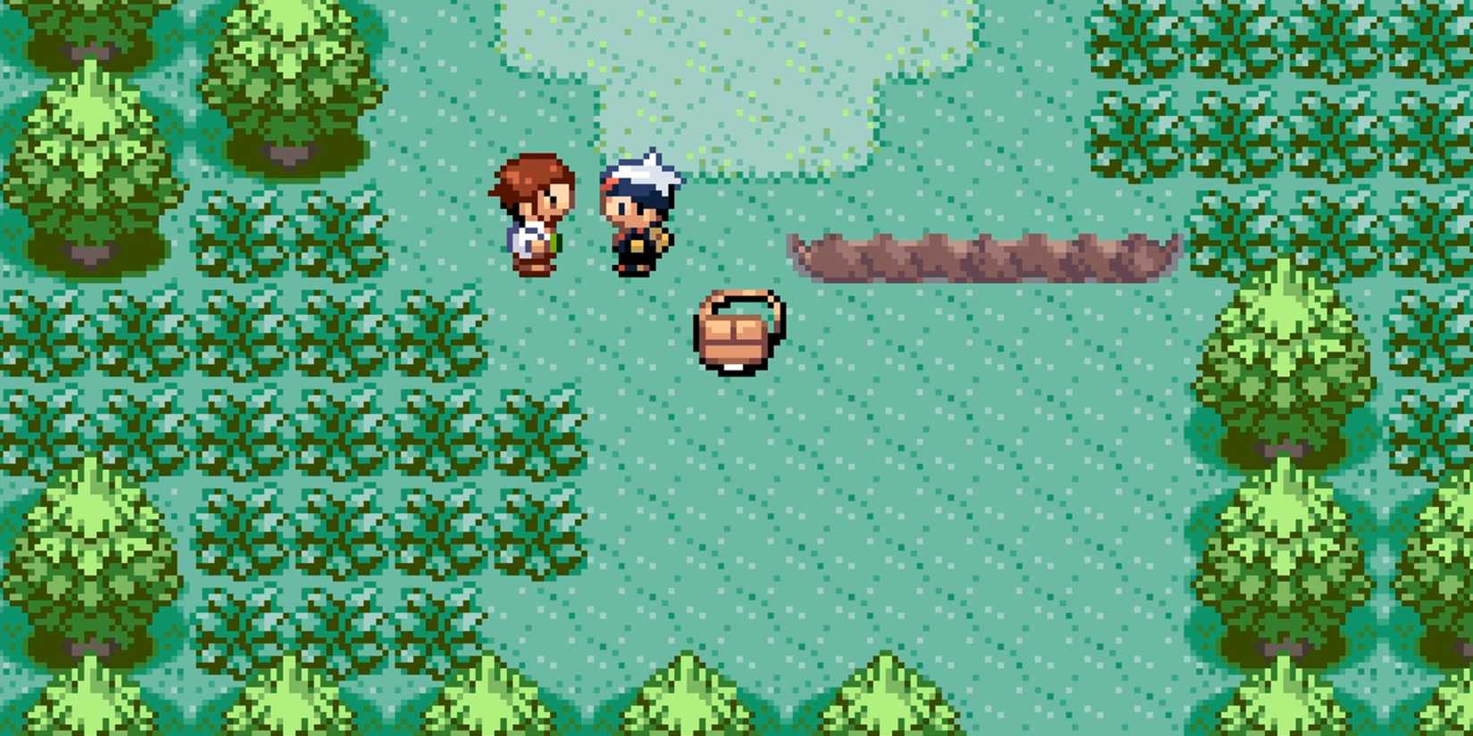 Looking For A Tough Challenge? These Are The Hardest Nuzlockes In The ...