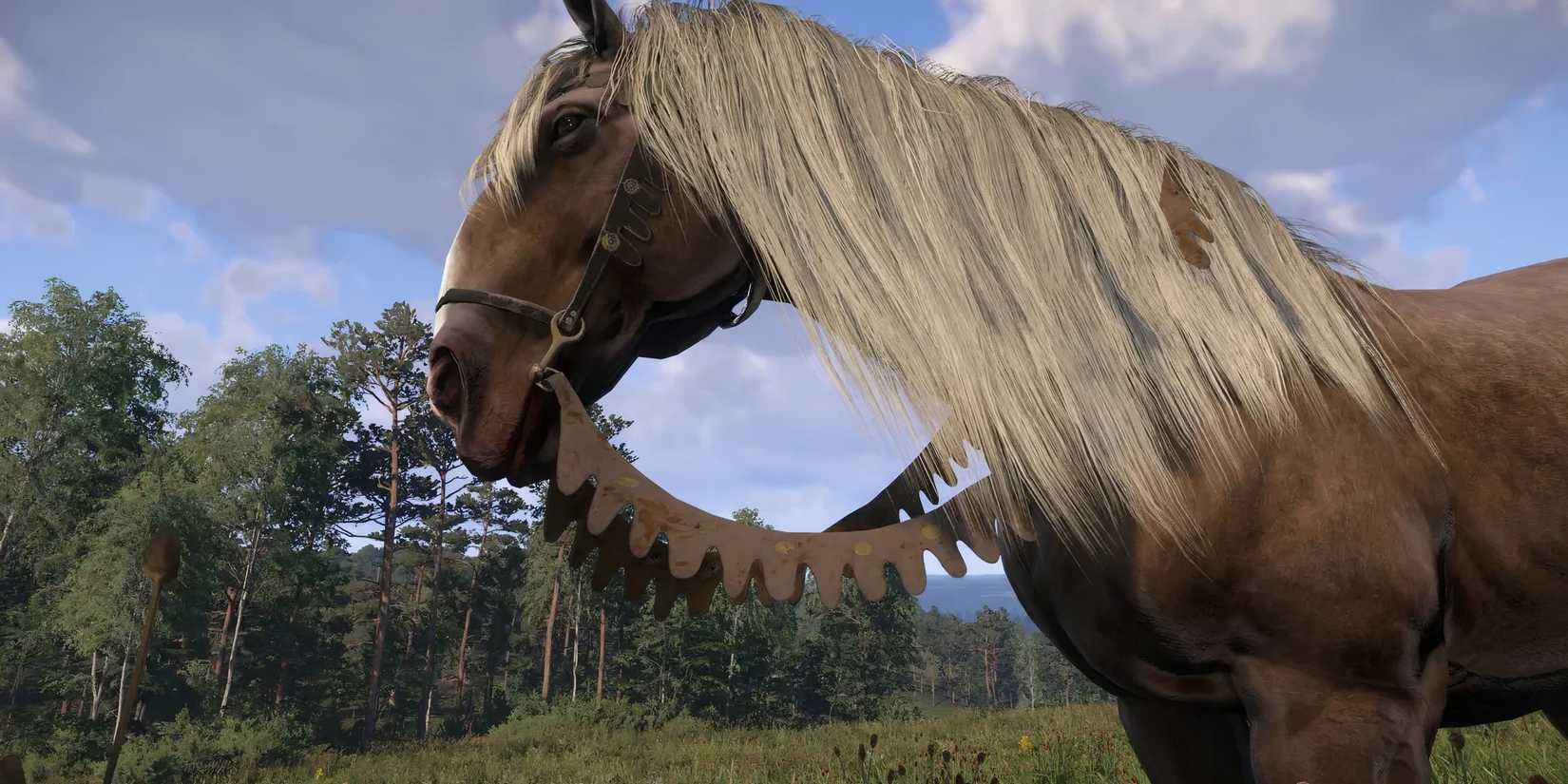 The Best Horse Gear To Use In KC D2, Ranked