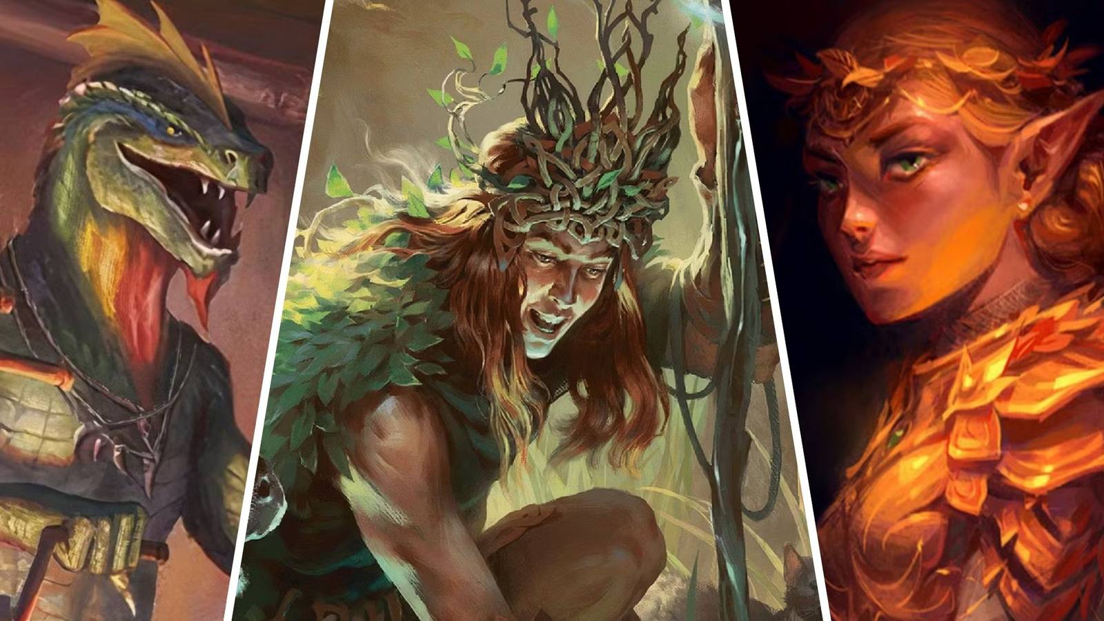 The Best Fantasy Races For Playing A Druid In DnD