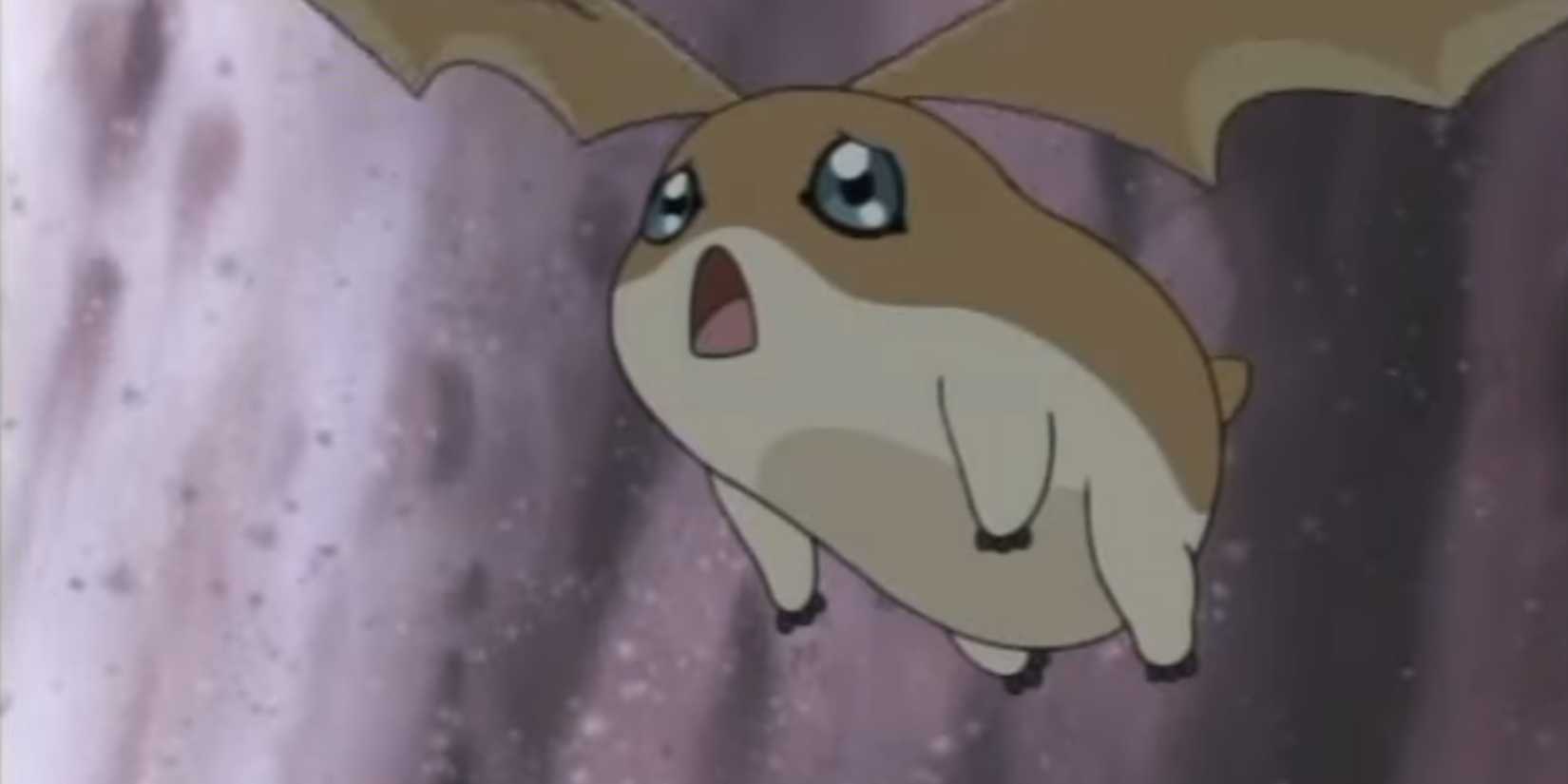 These Rookie Digimon Werre The Real Stars Of The Show