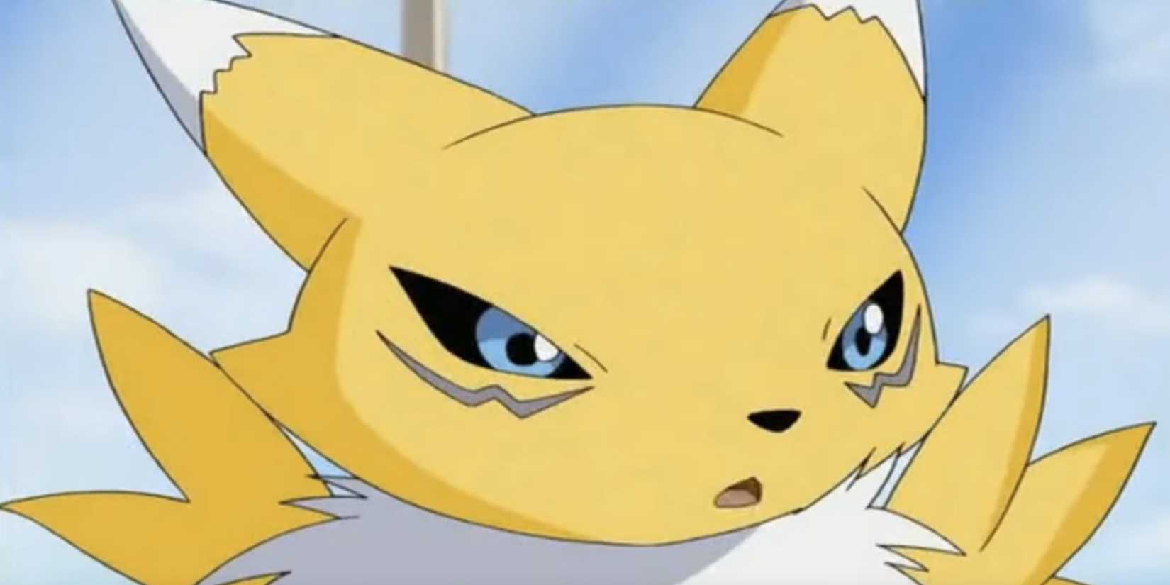 These Rookie Digimon Werre The Real Stars Of The Show