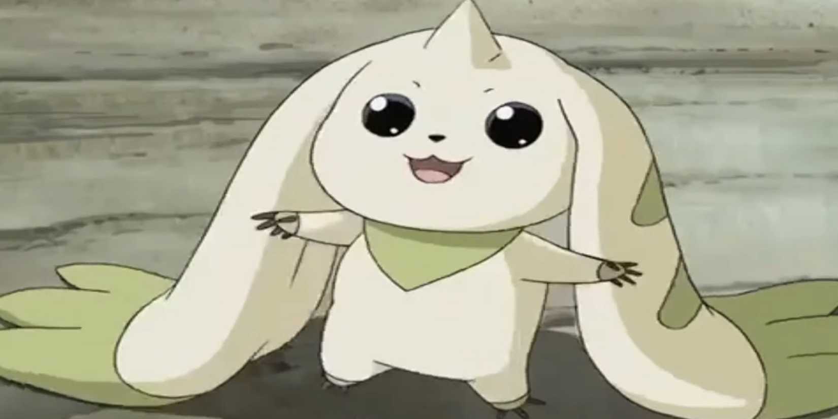 These Rookie Digimon Werre The Real Stars Of The Show