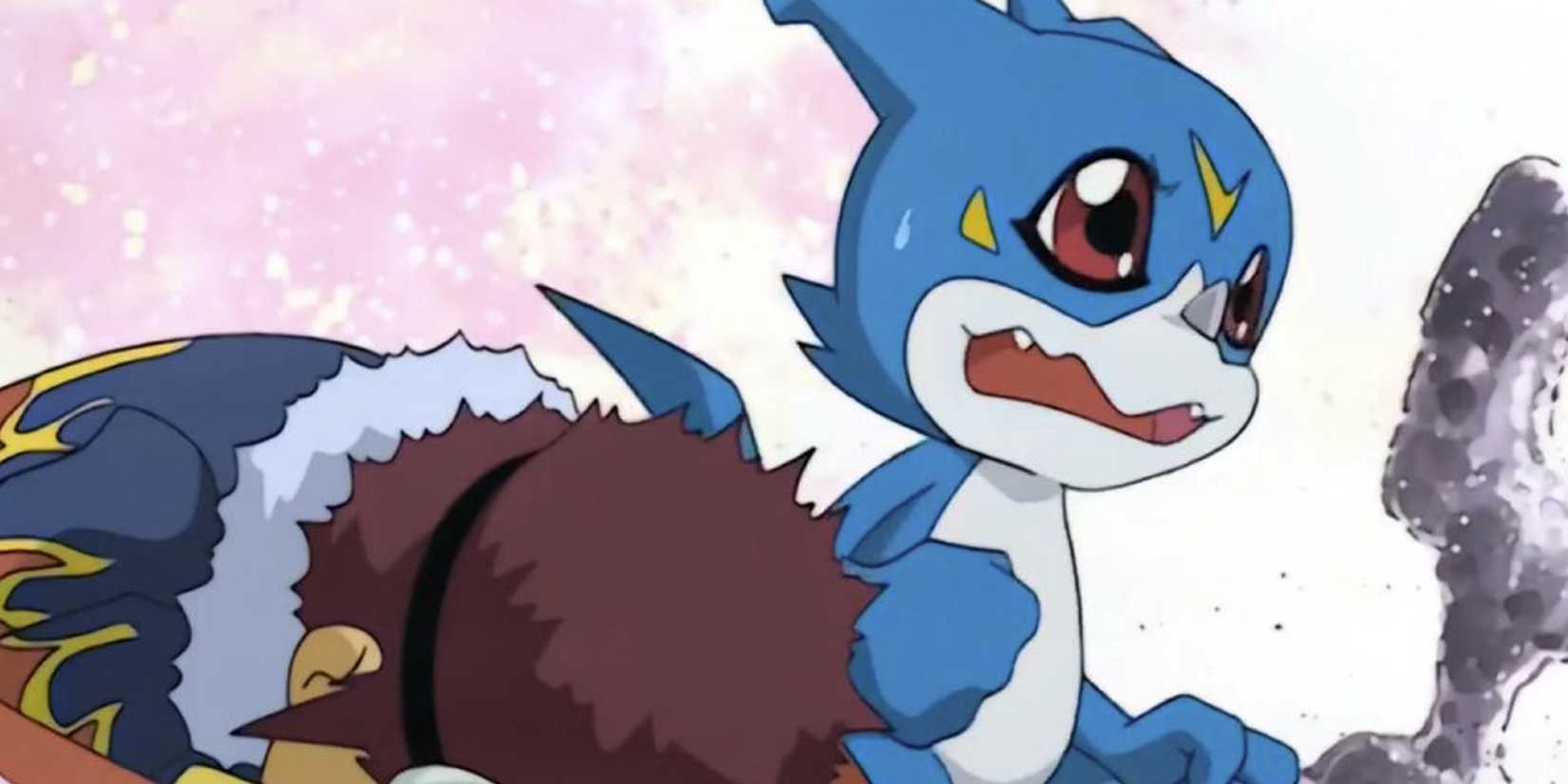 These Rookie Digimon Werre The Real Stars Of The Show