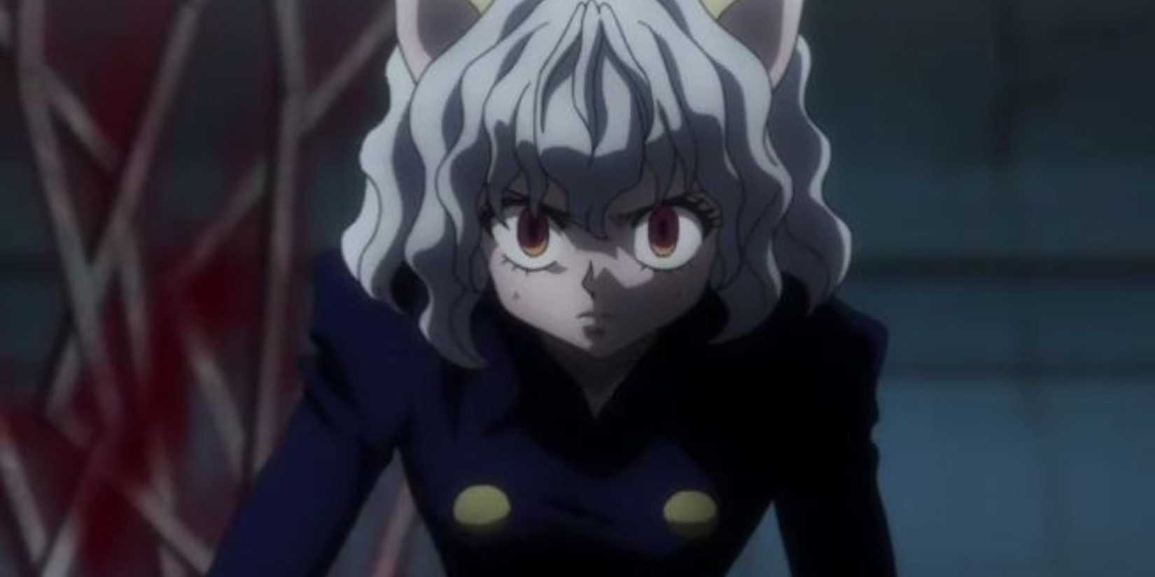 Is Pitou A Boy Or Girl In HXH?