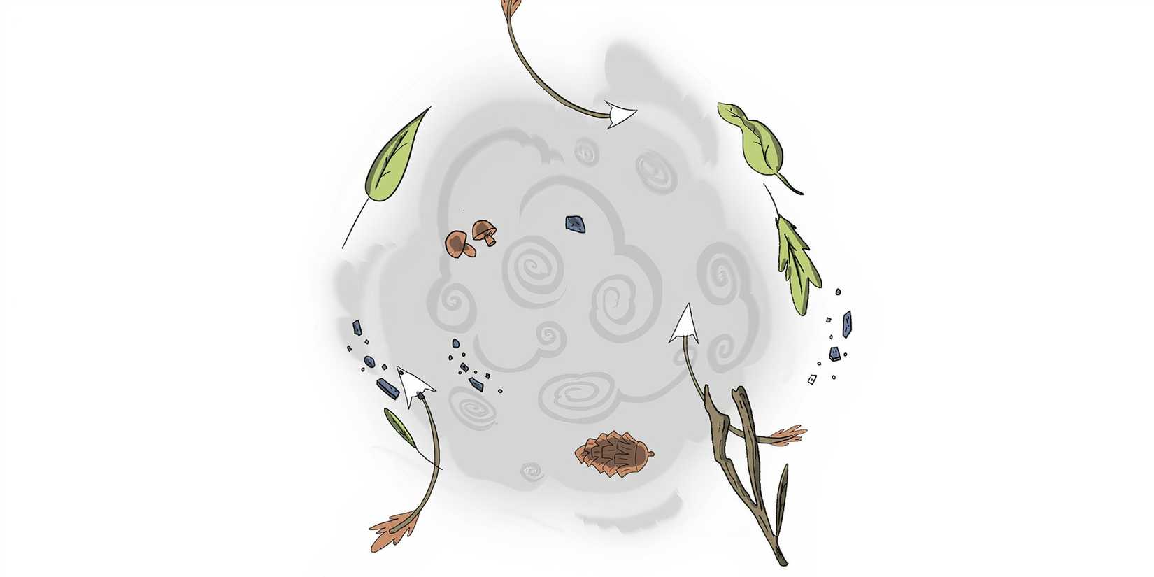 All Humblewood Campaign Setting Spells Ranked In DND