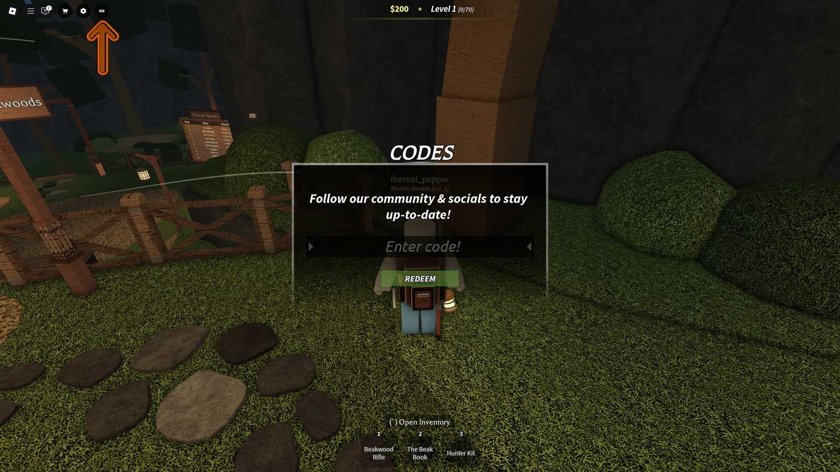 Beaks Codes - Roblox