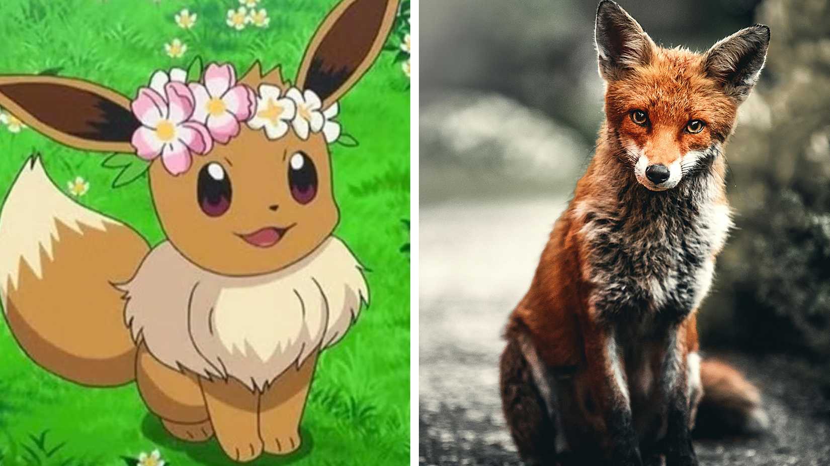 Iconic Game Animals You Mistook As A Kid