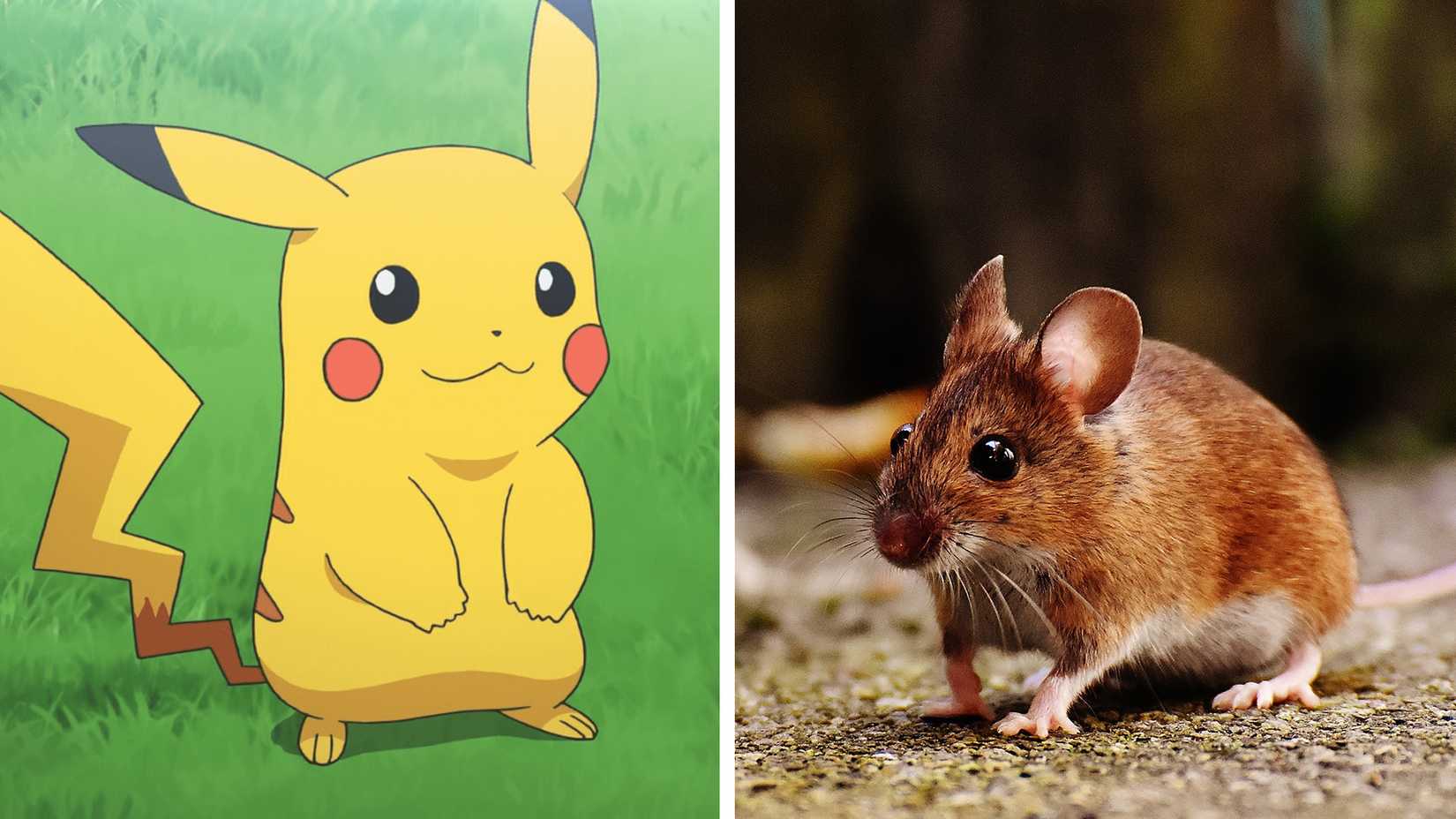 Iconic Game Animals You Mistook As A Kid