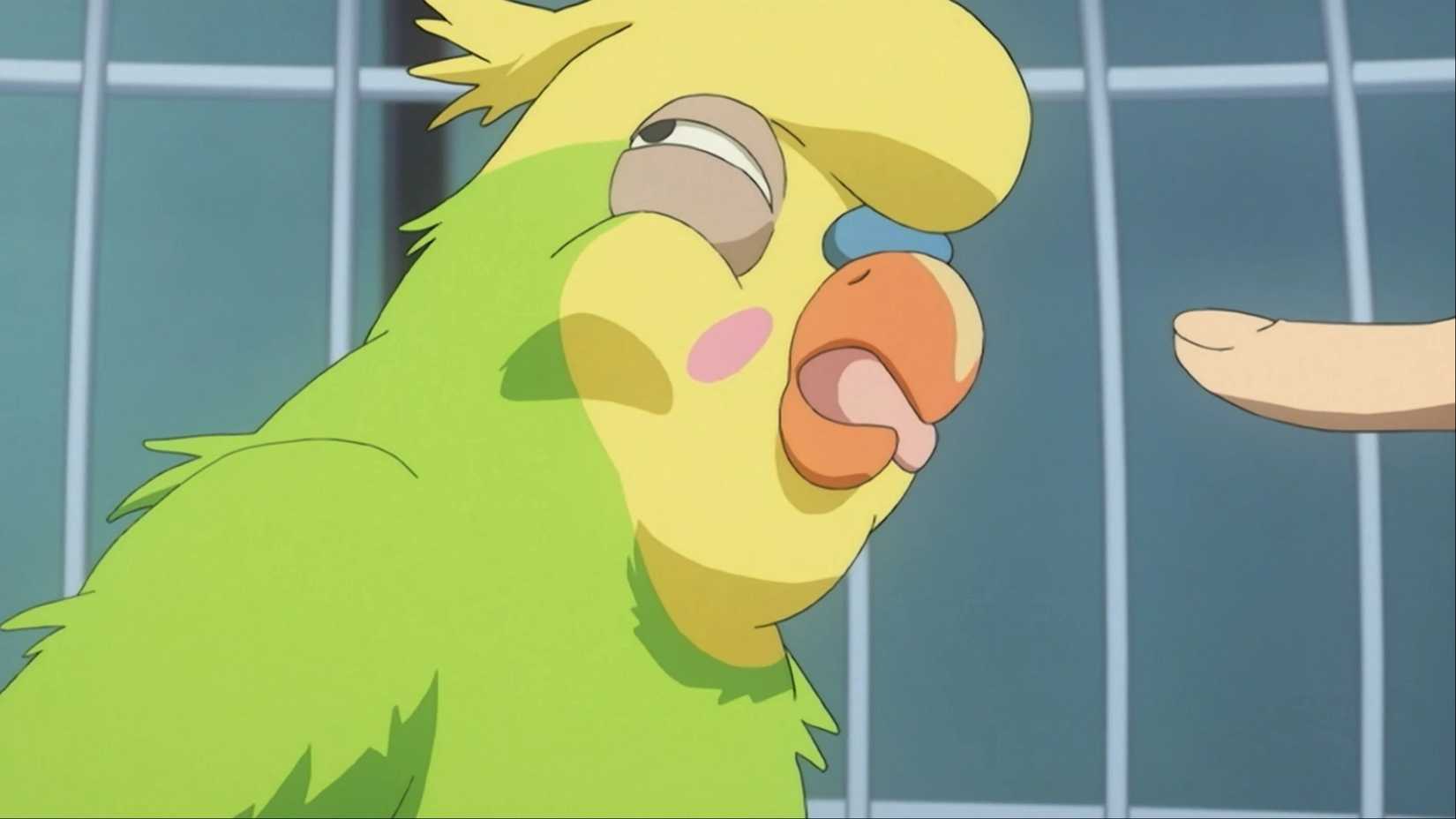 Even Casual Anime Fans Will Recognise These Iconic Anime Pets