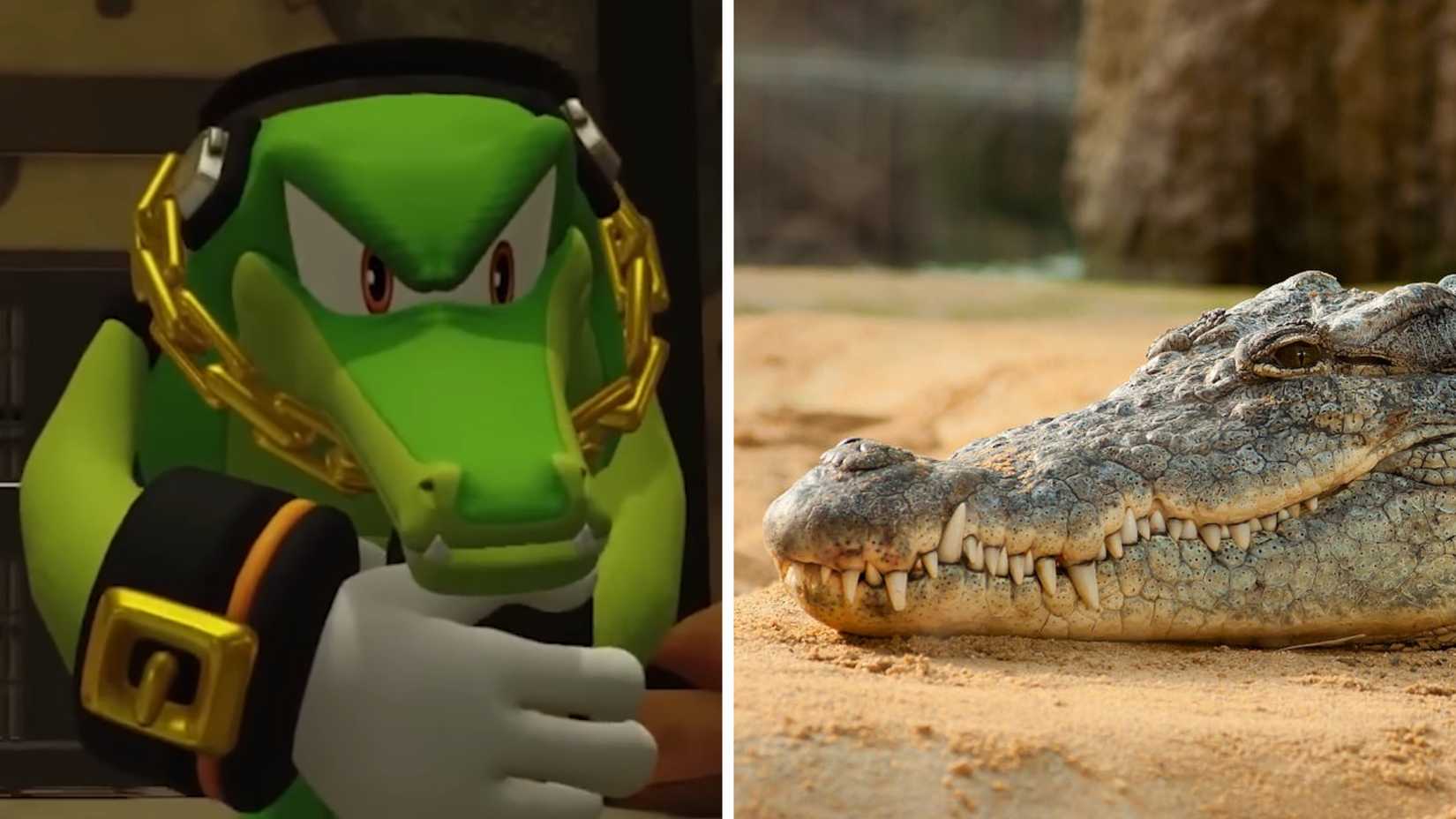 How Realistic Are Sonic The Hedgehog Characters?