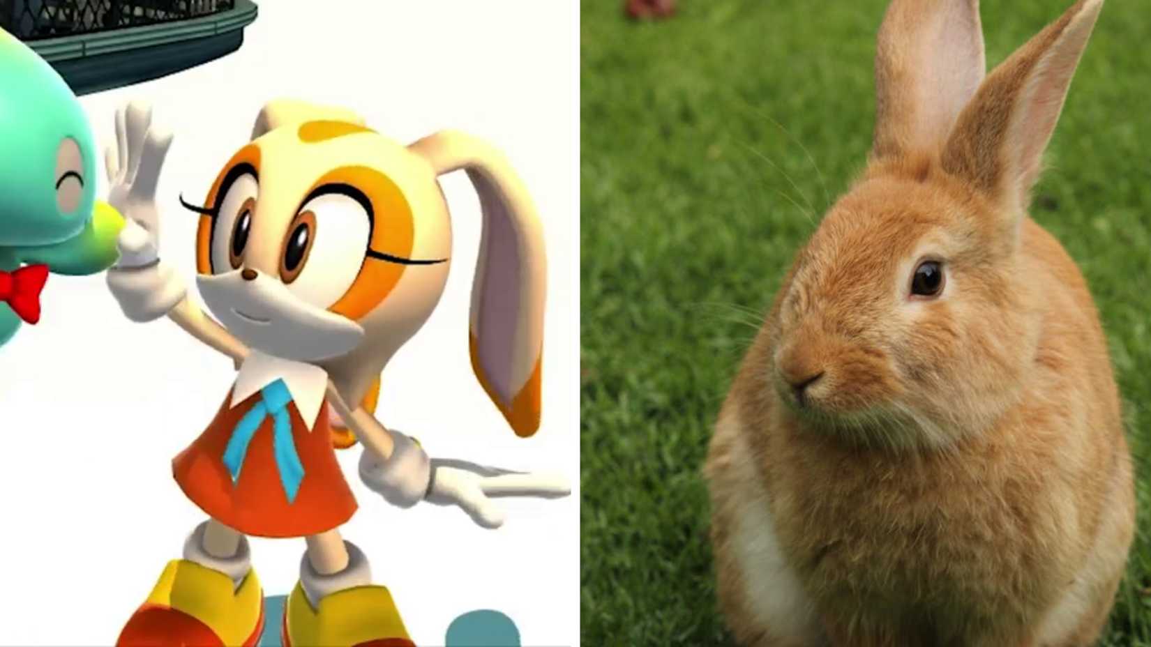How Realistic Are Sonic The Hedgehog Characters?