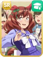 Best Support Cards In Umamusume: Pretty Derby