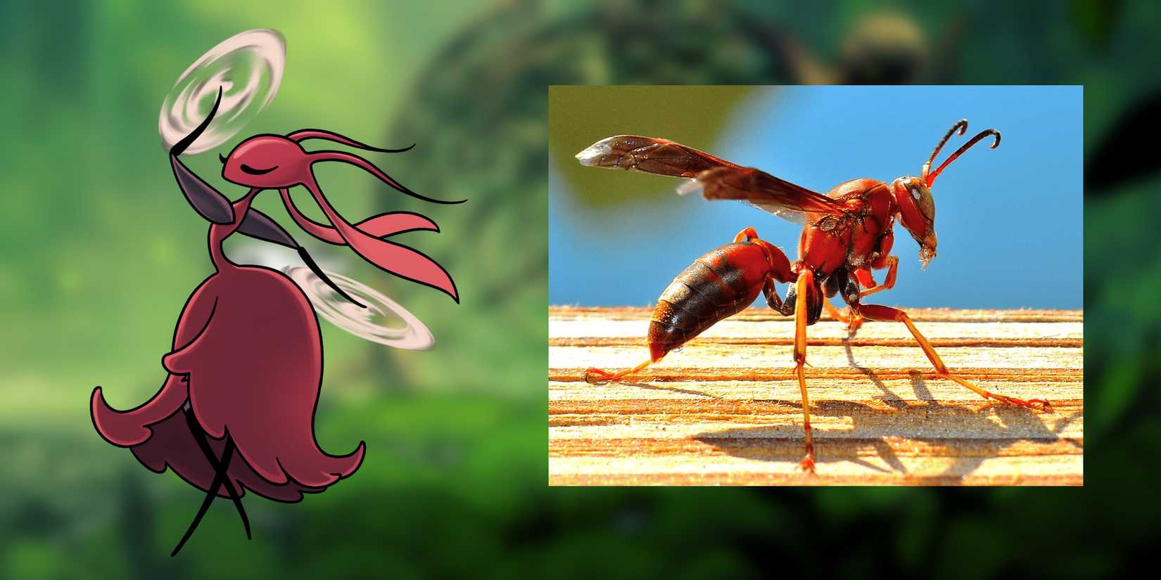 What Kind Of Bugs Are These Characters From Hollow Knight: Silksong?