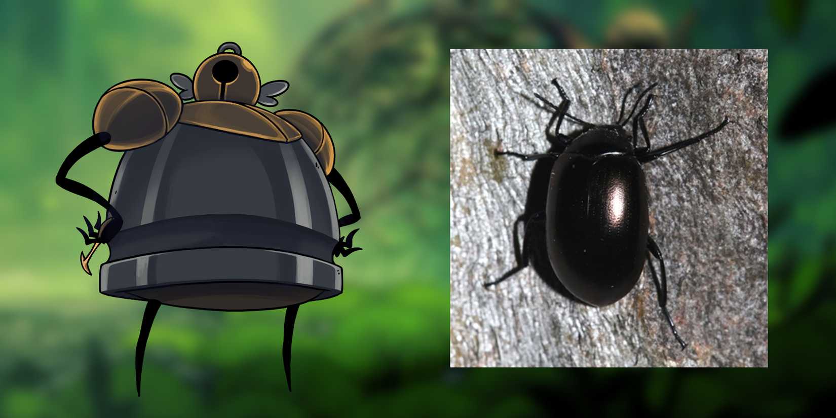 What Kind Of Bugs Are These Characters From Hollow Knight: Silksong?