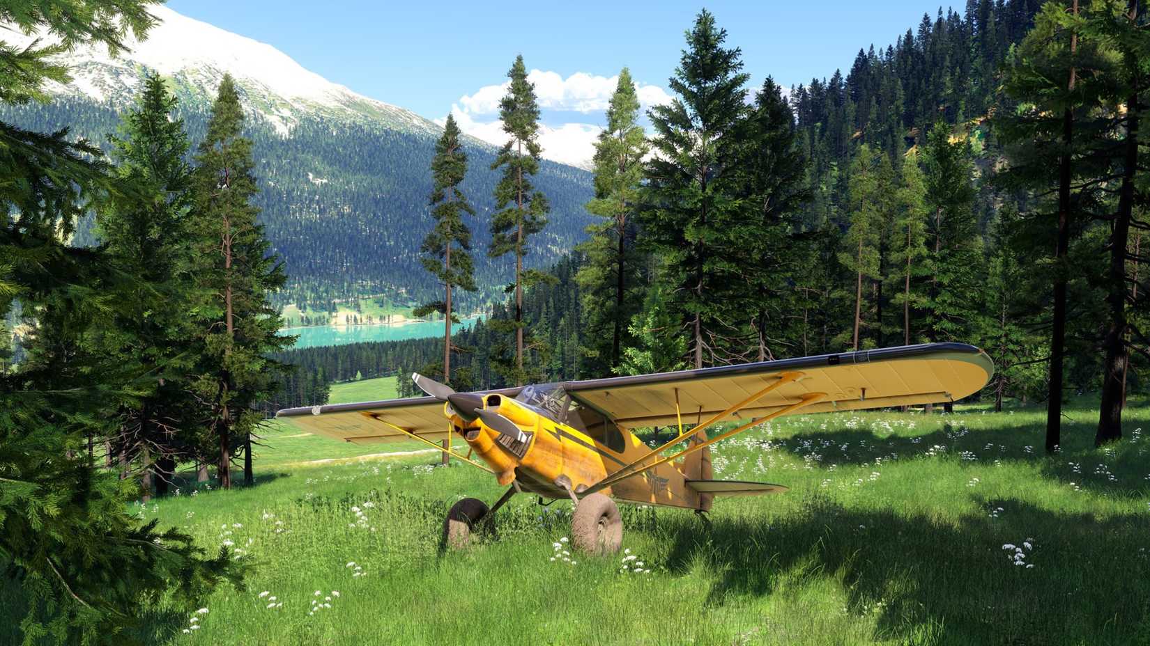 Microsoft Flight Simulator 2024 On PS5 Pre-Order Guide: Editions ...