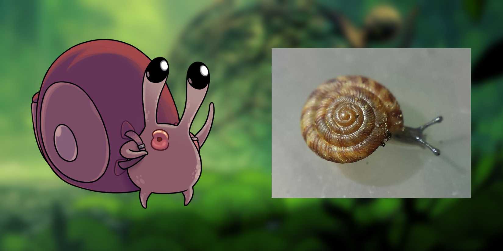 What Kind Of Bugs Are These Characters From Hollow Knight: Silksong?