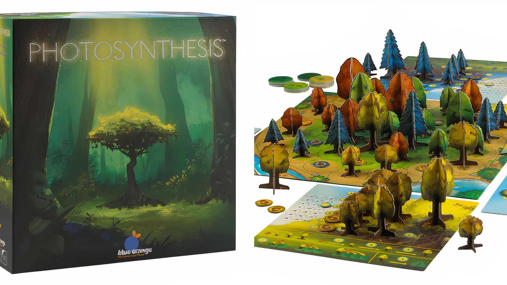 Board Games That Are Beautiful But Boring