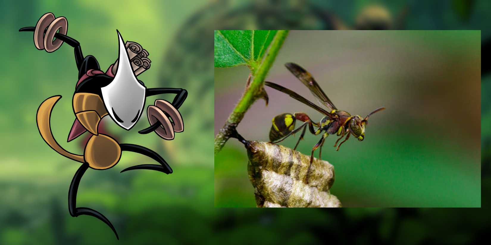 What Kind Of Bugs Are These Characters From Hollow Knight: Silksong?