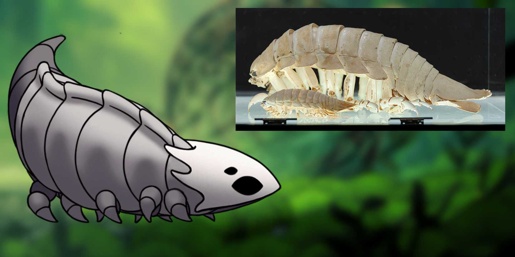 Quel genre de bugs sont ces personnages de Hollow Knight: Silksong ...