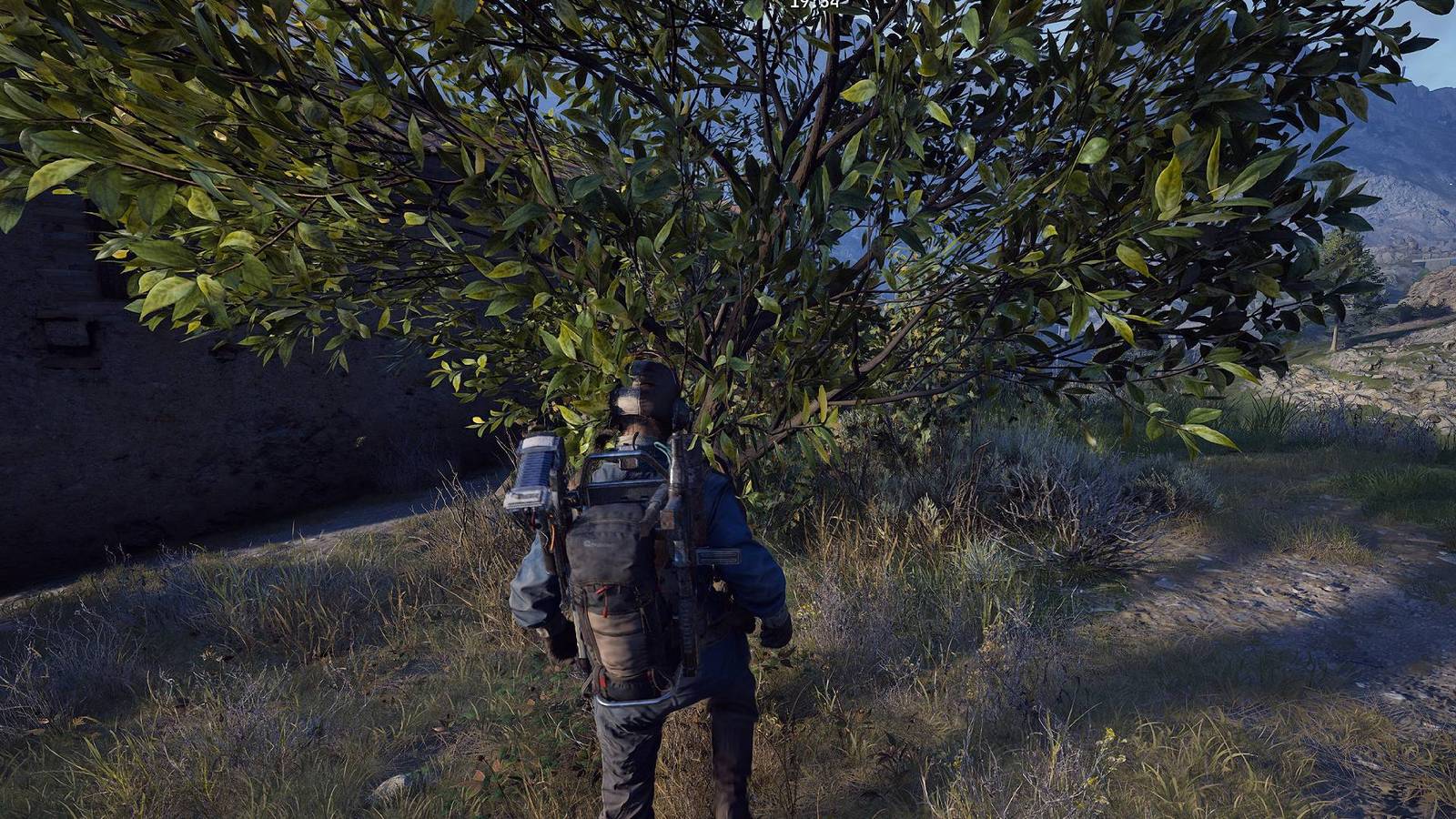 Where To Find Lemons, Olives And Apricots In Arc Raiders