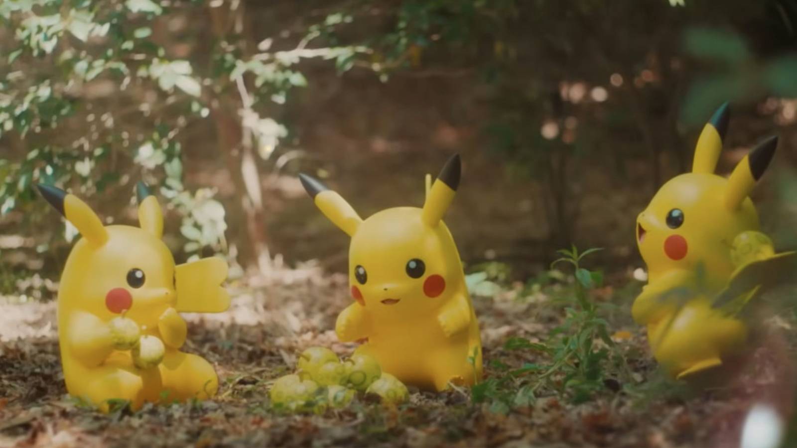 PokePark Kanto's Forest Won't Allow Young Children Or Disabled People