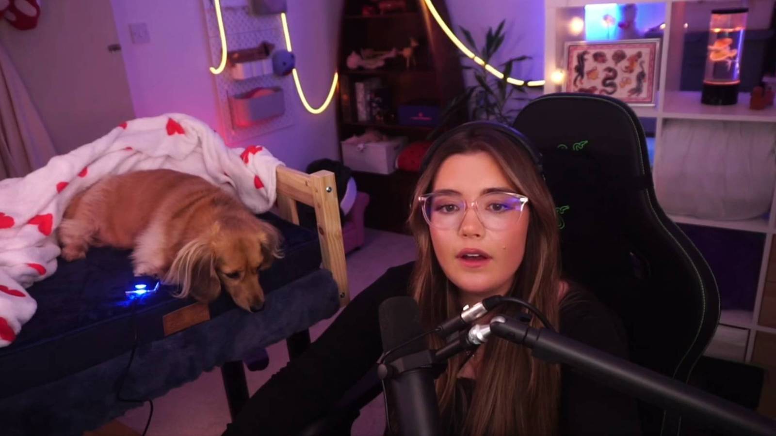 Marvel Rivals Streamer And Her Dog Are Healing Players Together