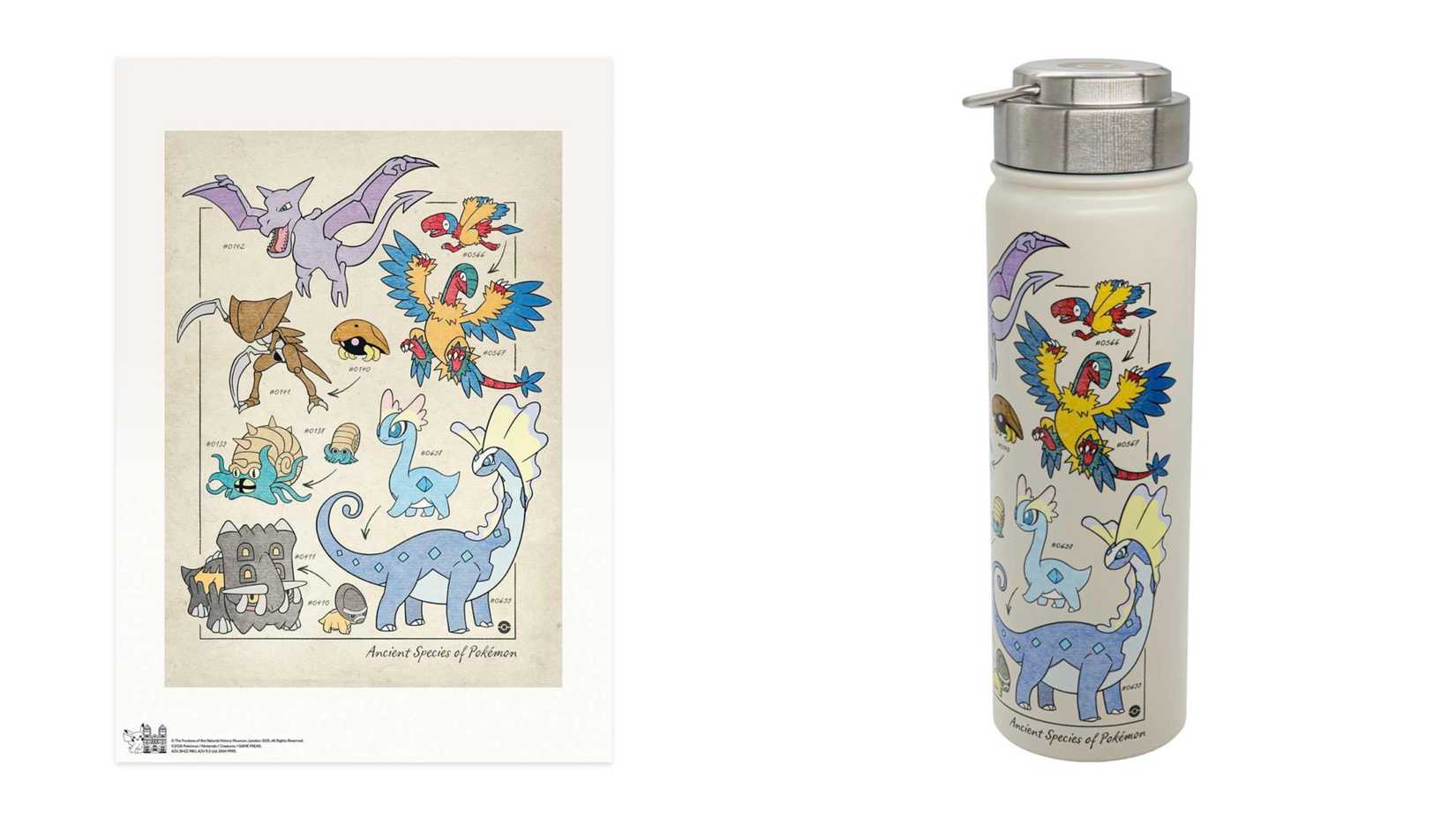 Select Items From Pokemon's Natural History Museum Store Now Available ...