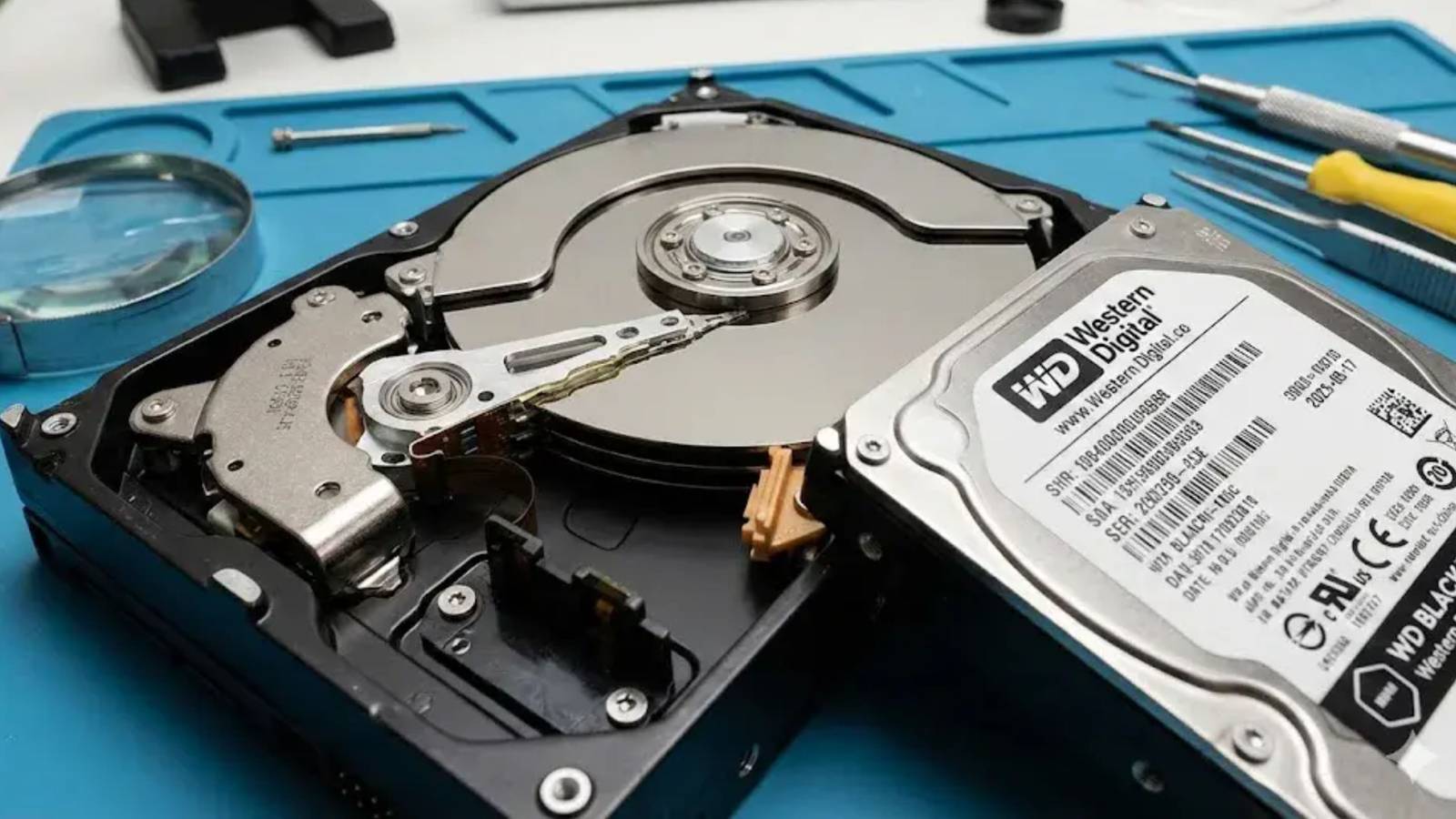 Western Digital Is Sold Out Of Hard Drives For The Entire Calendar Year