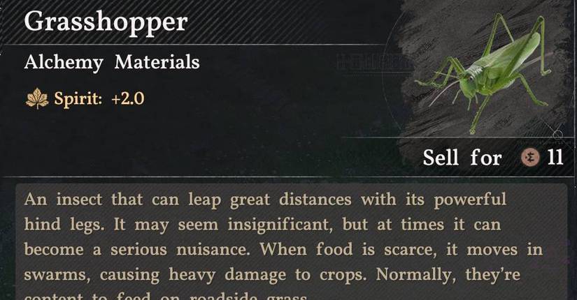 All Alchemy Materials And Where To Find Them In Crimson Desert