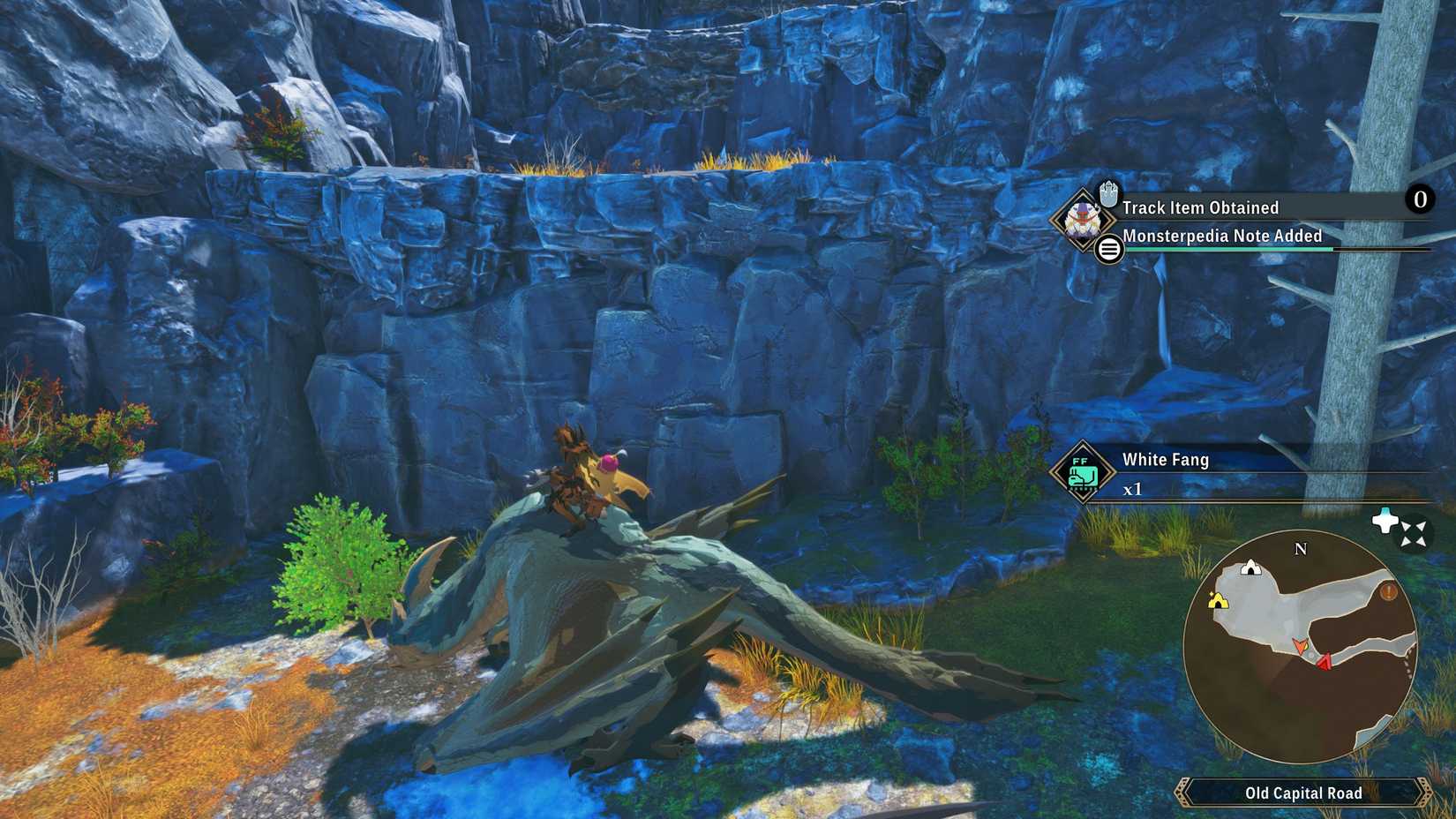 Where To Find All Track Items In Serathis In Monster Hunter Stories 3