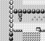 Pokemon Super Kaizo Ironmon Challenge Has Finally Been Beaten